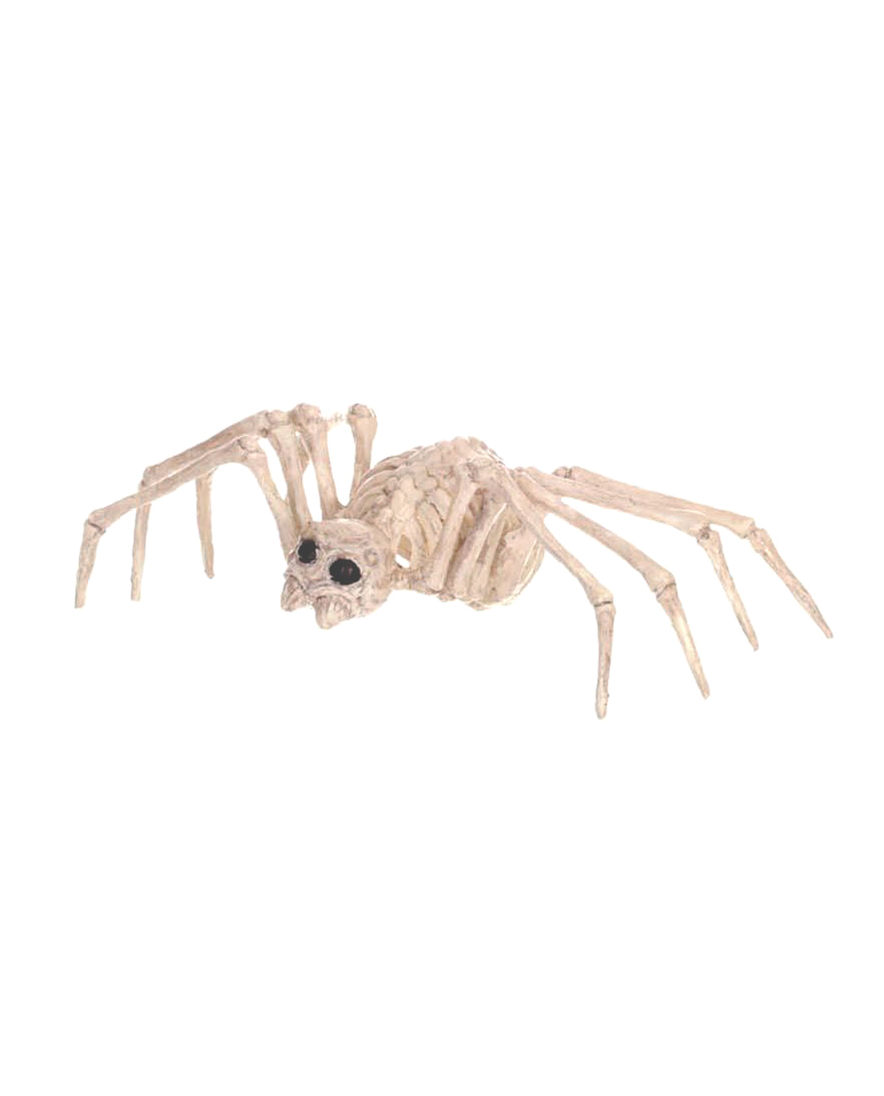 Mini Spider Skeleton 7" Spooky Halloween Decoration Crazy Bonez ...